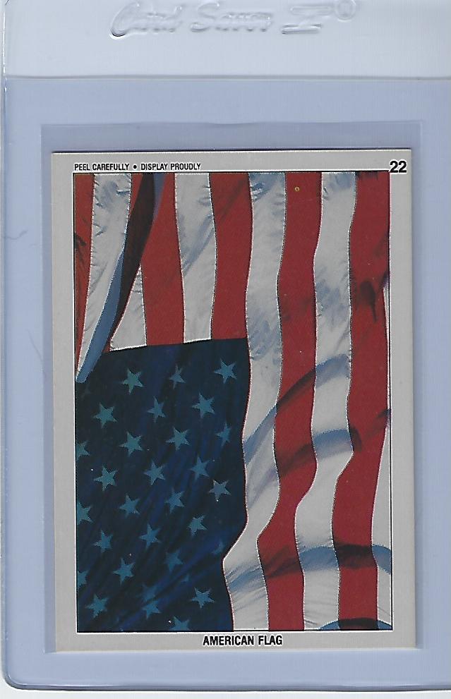 Entertainment (Brand: n/a) (Type: ) (Subtype: American Flag) (Kind of ...